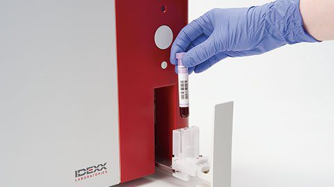 ProCyte Dx – Vets & Pets Colombia